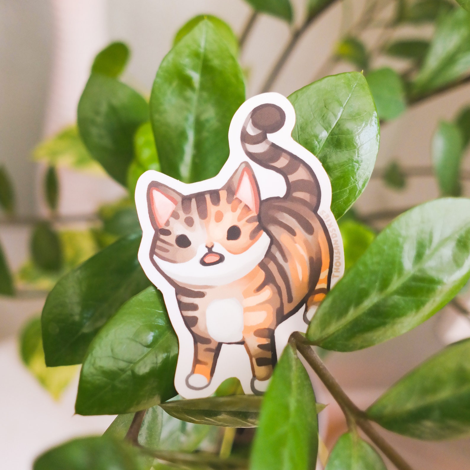 Vinyl Sticker Sparkles Begs for Food - Etsy