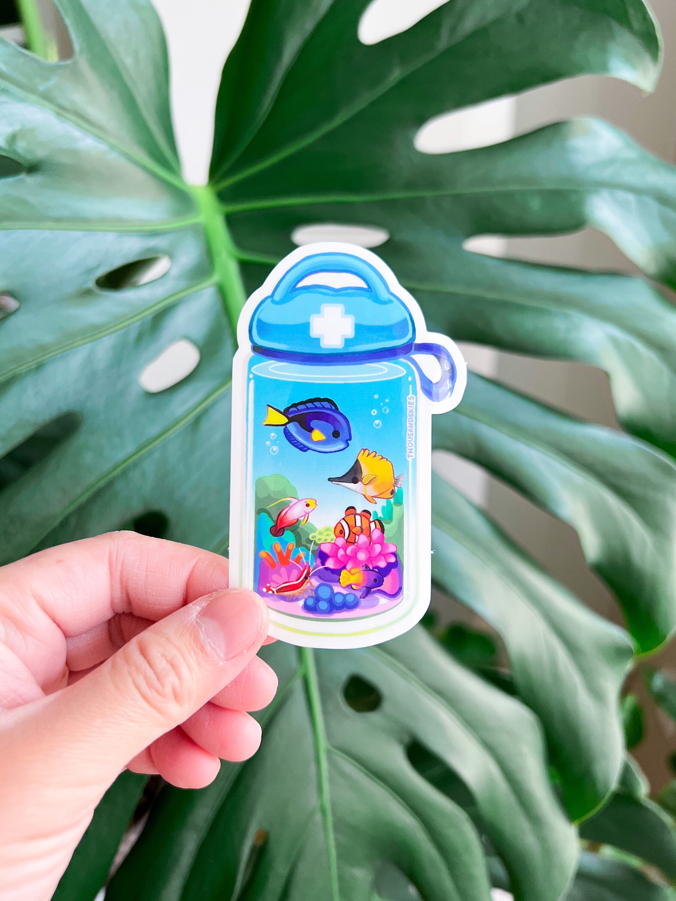 Vinyl Sticker transparent First Coral Reef Kit - Etsy