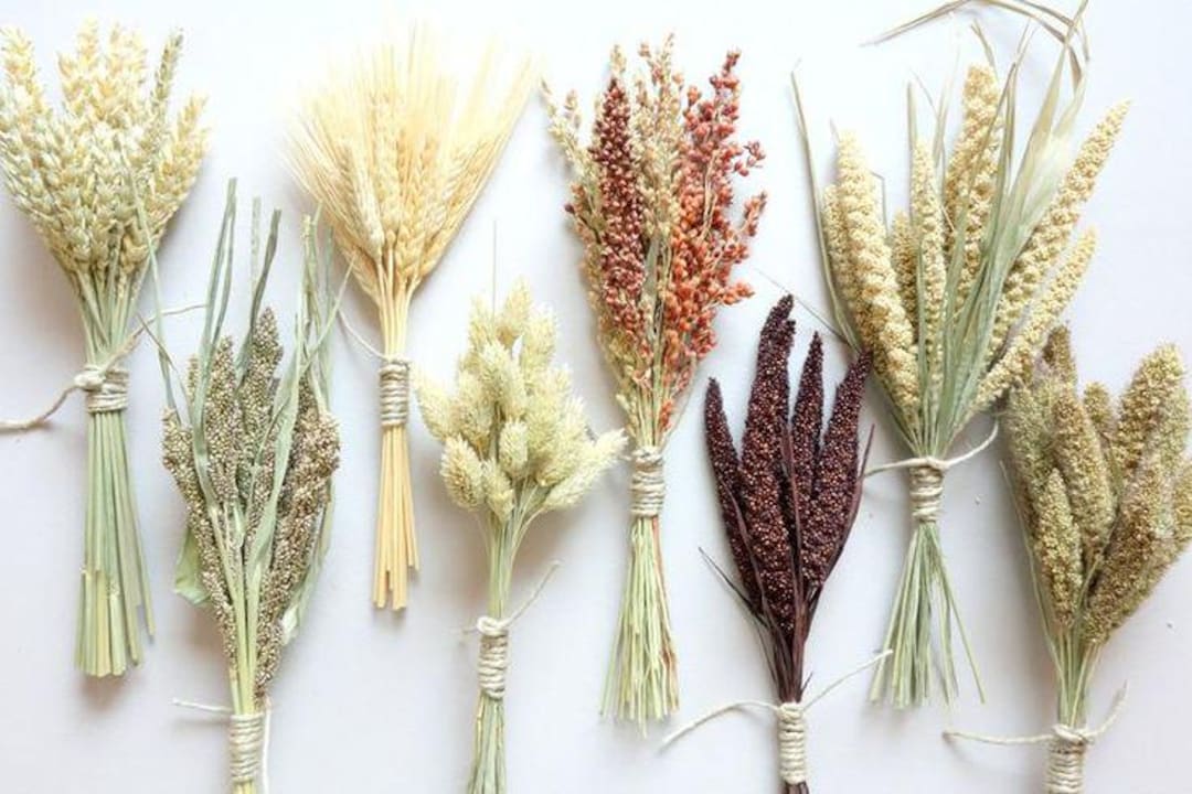 Dried Grass Bundle: Natural Fall Table Decor, DIY Flowers - Etsy
