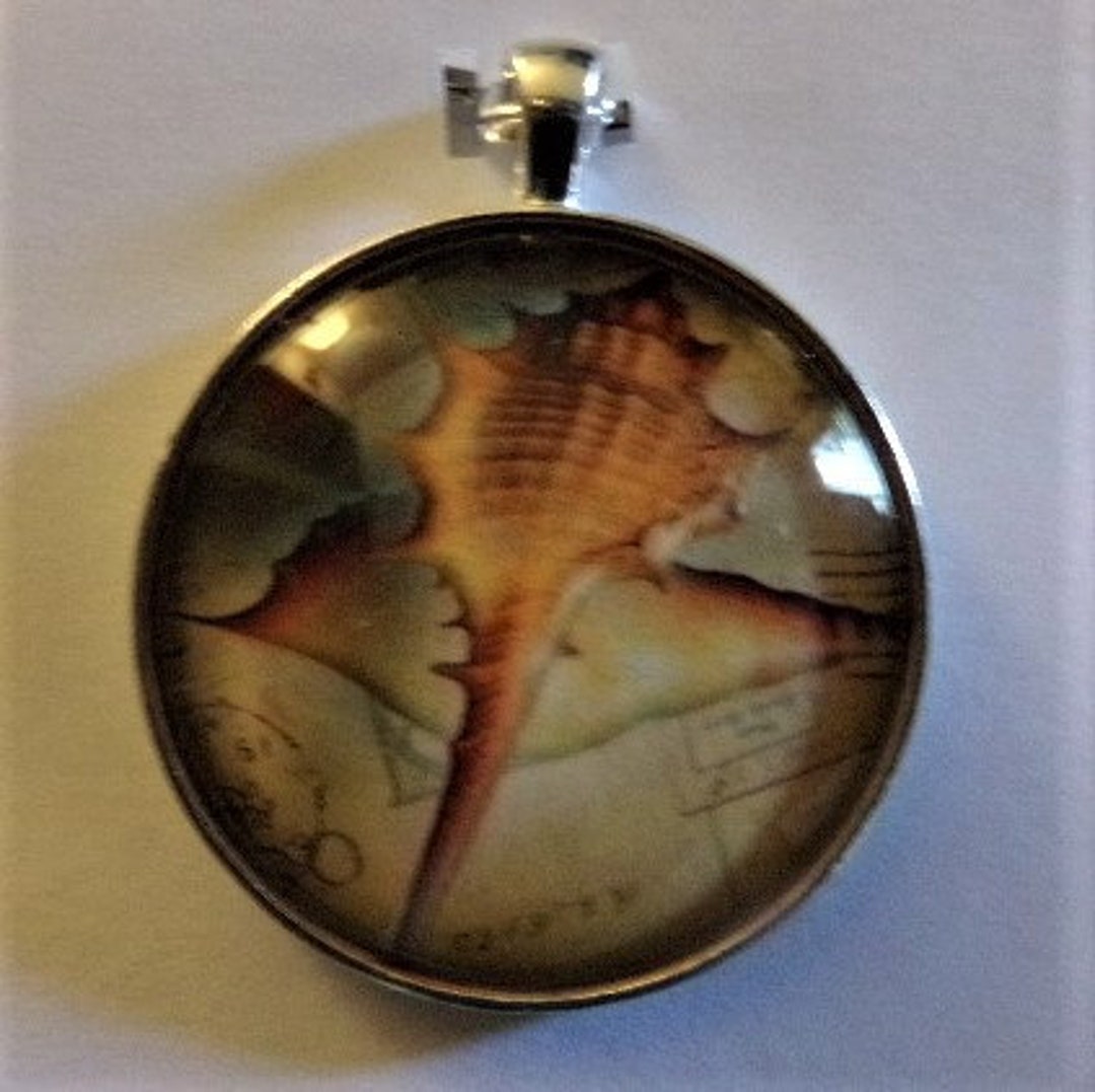 Shell Image in 1.5" Glass Dome Pendant in Silver Tone. 24" Silver Tone ...