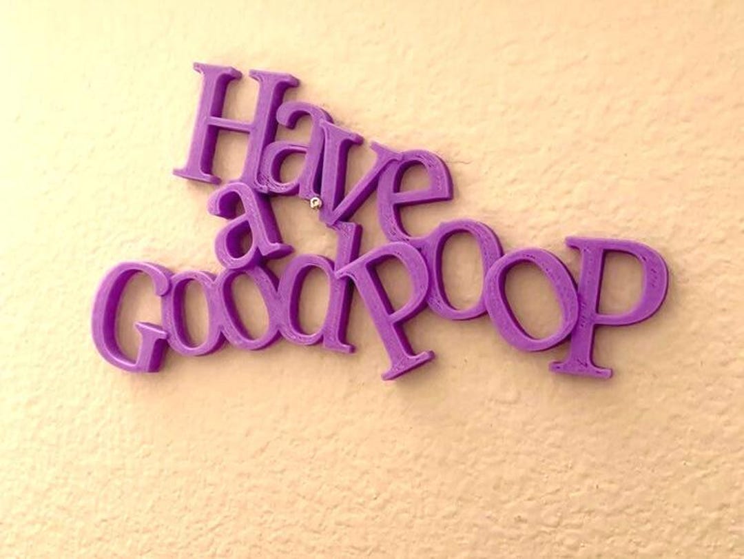 Have a Nice Poop Sign! Many Colors Available- Bathroom Sign, Decor ...