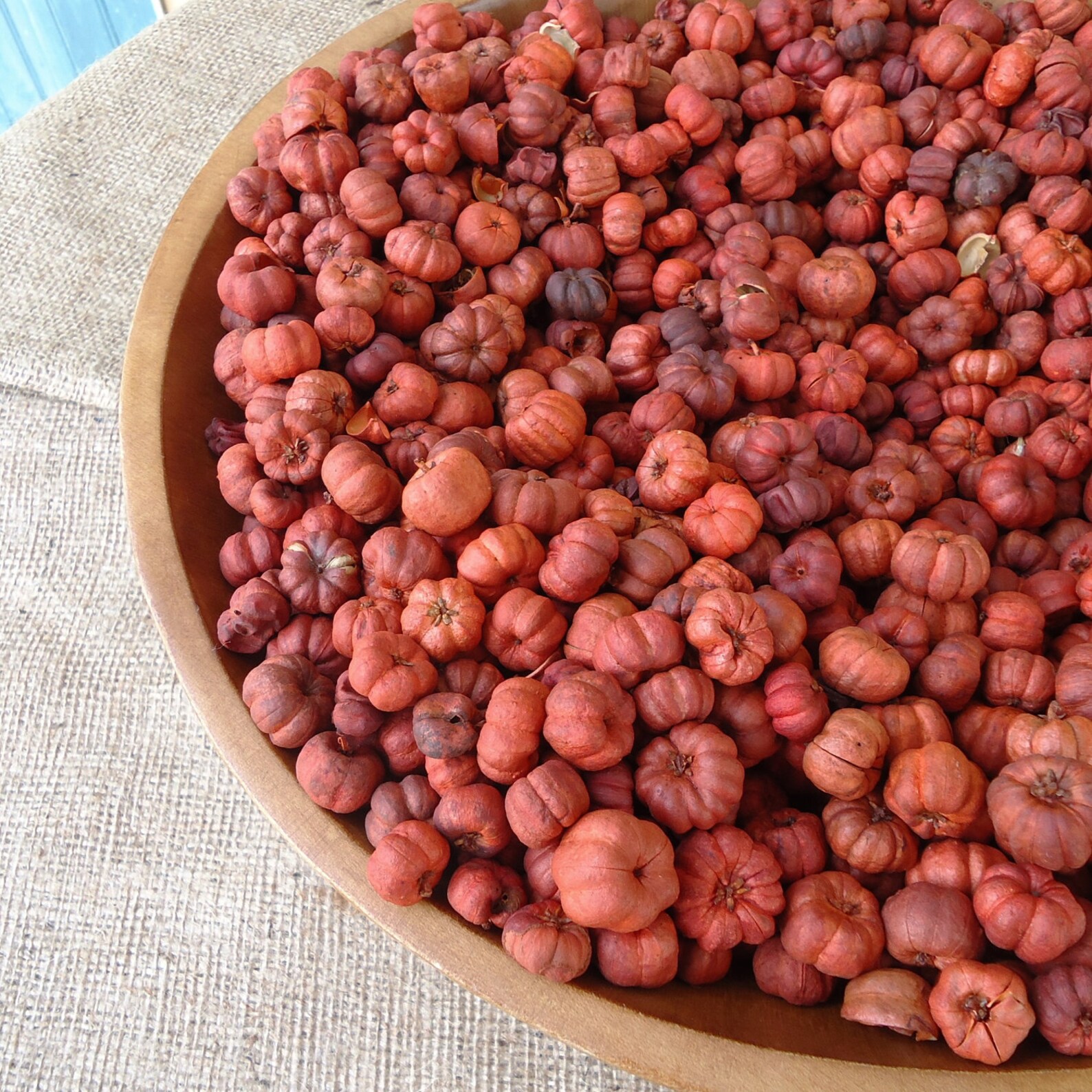 Miniature Pumpkins Tiny Pumpkin Pods Putka Pods Primitive - Etsy