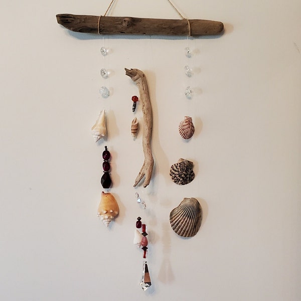 Shell and Driftwood - Etsy