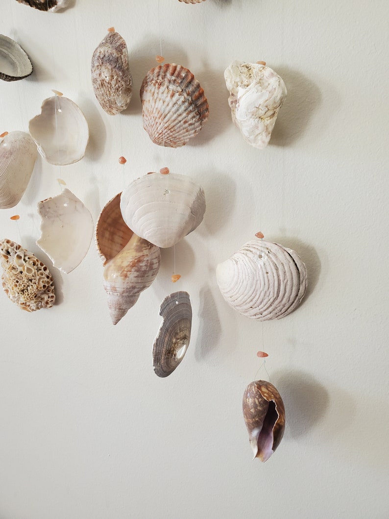 Stunning Beach Shells and Driftwood Peach Colored Beads - Etsy