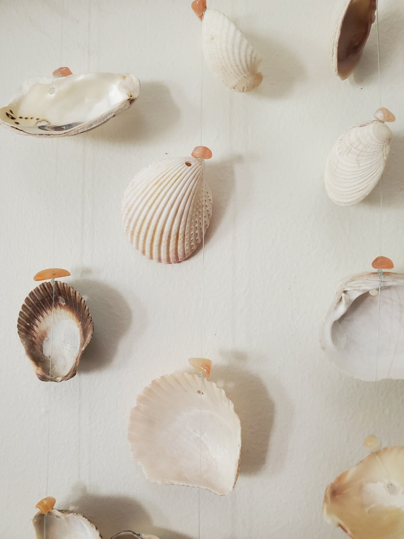 Stunning Beach Shells and Driftwood Peach Colored Beads - Etsy