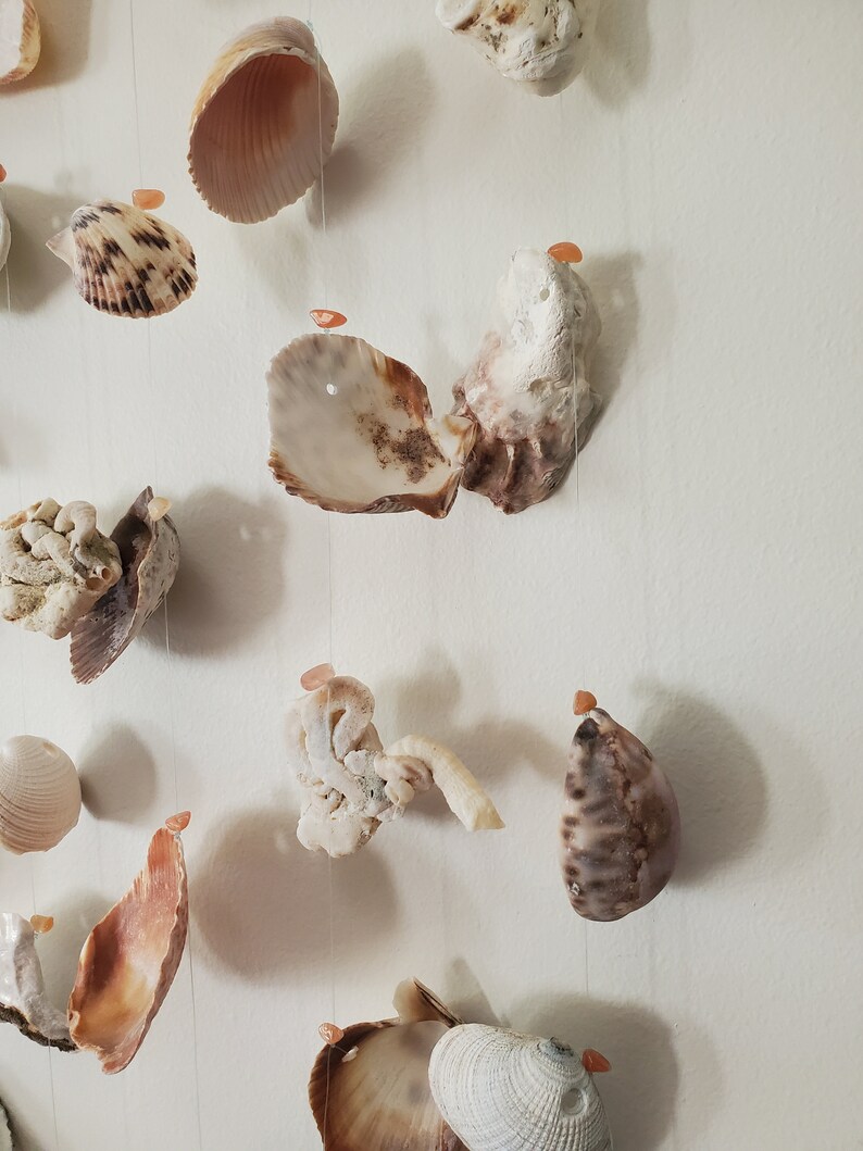 Stunning Beach Shells and Driftwood Peach Colored Beads - Etsy