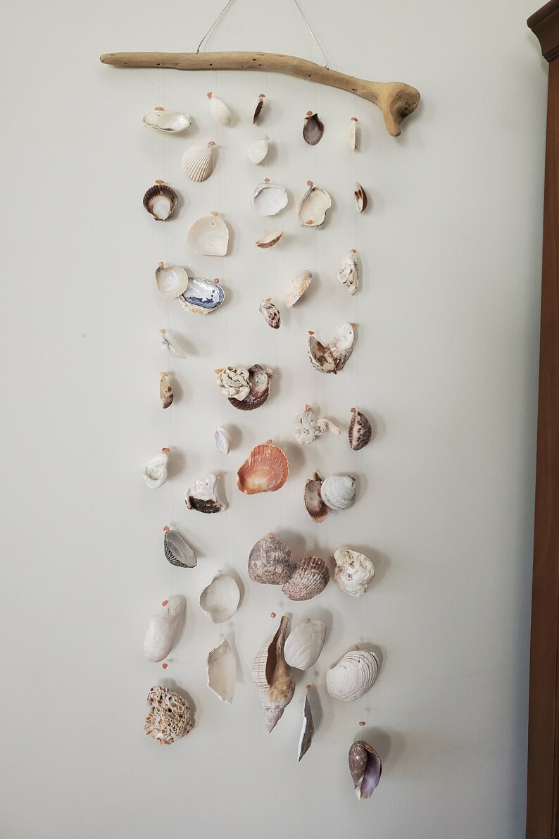 Stunning Beach Shells and Driftwood Peach Colored Beads - Etsy