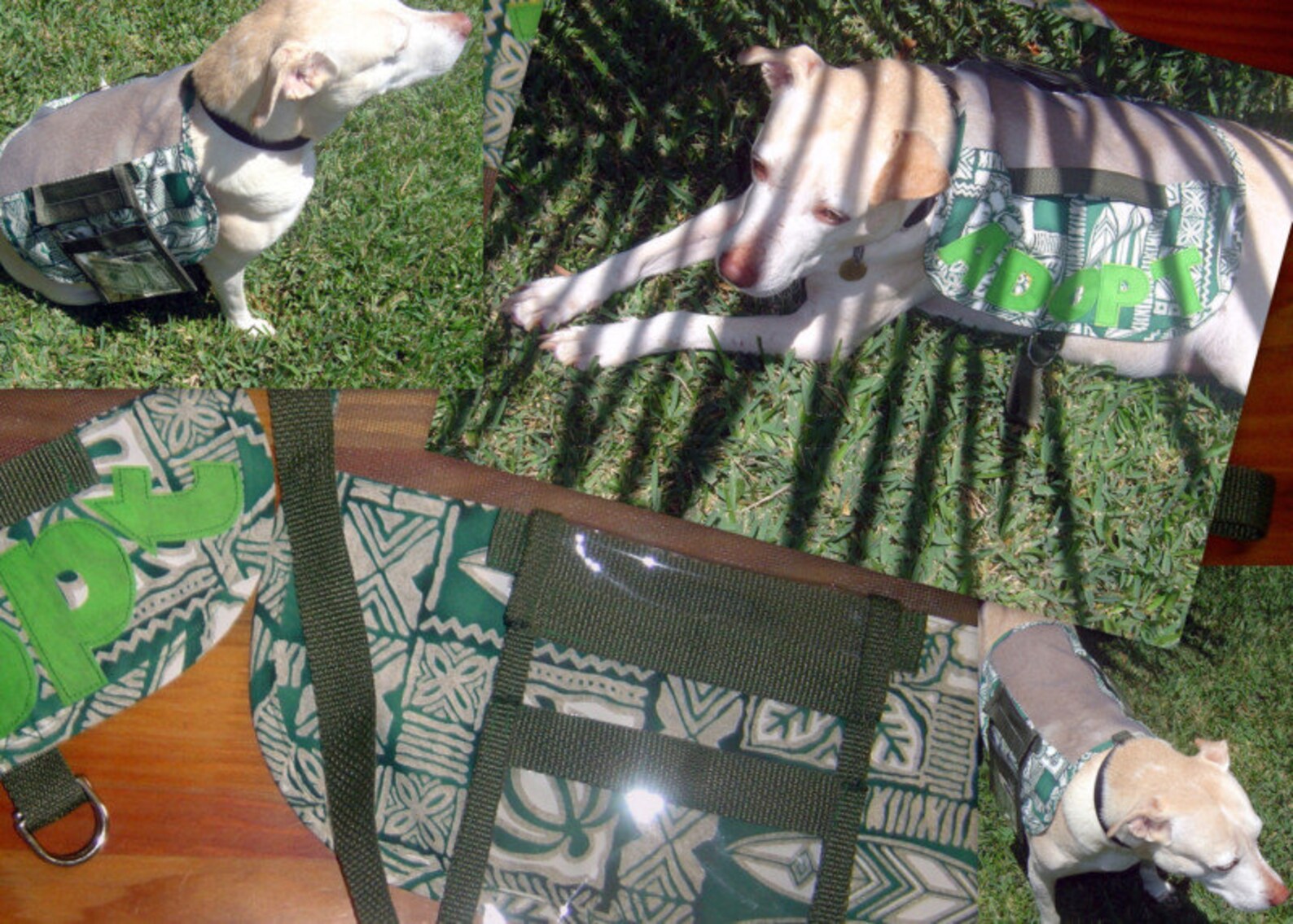 Adopt Me Dog Vest Pattern INSTRUCTIONS - Rescue Dog PDF Pattern - EZ to ...