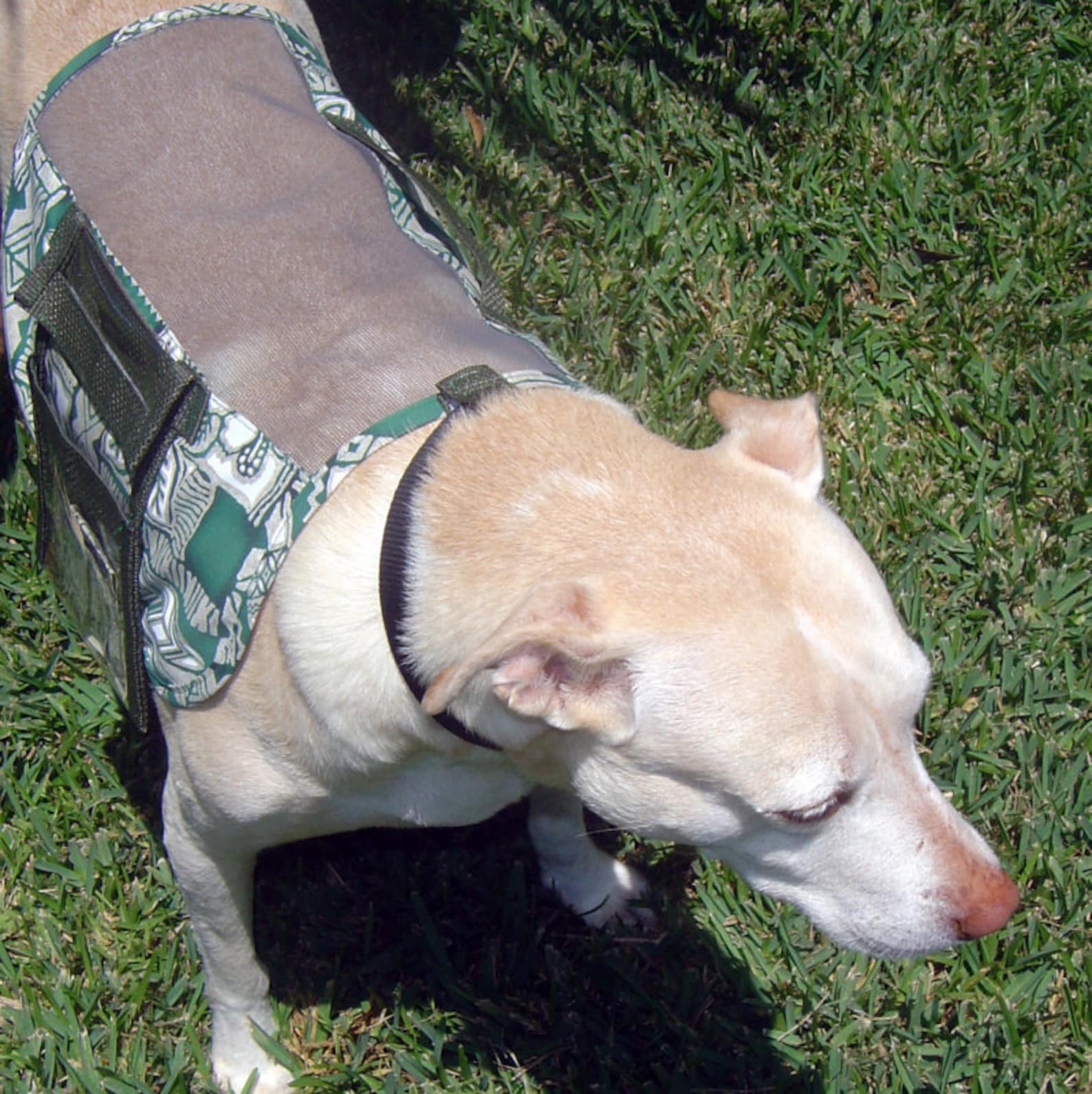 Adopt Me Dog Vest Pattern INSTRUCTIONS - Rescue Dog PDF Pattern - EZ to ...