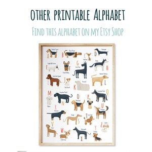 Animal Abc Poster, Animal Alphabet Print Children's Educational Poster ...