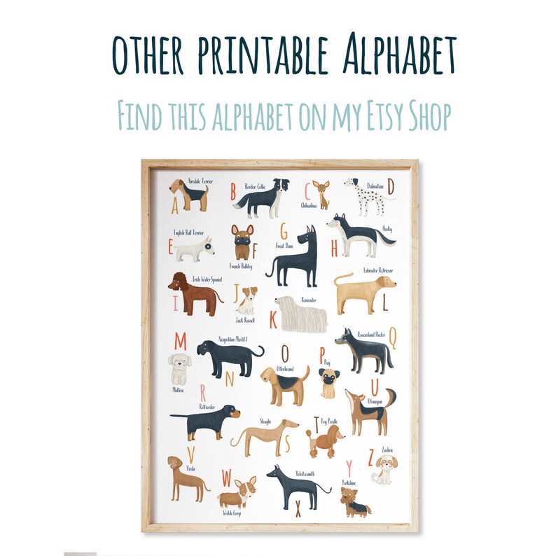 Printable ABC dogs breeds Dachshund Basset Hound dog | Etsy