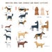 Personalized Printable Dogs Alphabet for Dog Lovers, Dog Alphabet ...