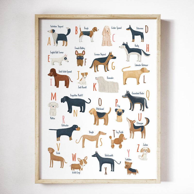 Dog Breed Alphabet for Kids - Etsy