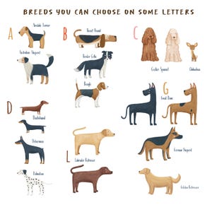 Dog Breeds Alphabet Poster, Dog Lover Wall Art - Etsy