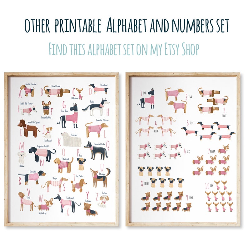 Dog Breed Alphabet Poster, ABC and Numbers Wall Art (digital Download ...