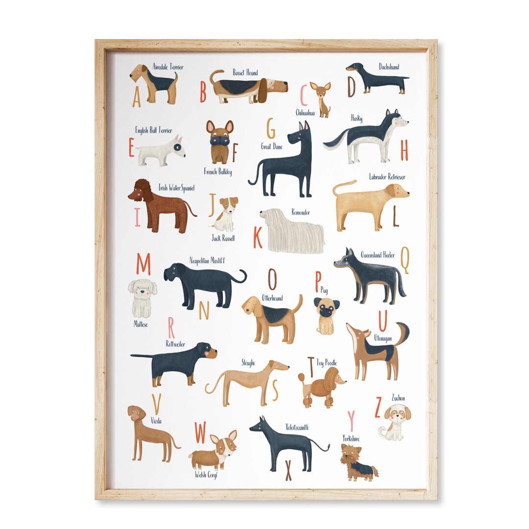 Printable ABC Dogs Breeds, Dachshund, Basset Hound, Dog Alphabet for ...