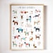 Dogs Alphabet and Numbers Set for Dog Lovers, Dog Alphabet Poster, ABC ...