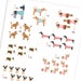 Dogs Alphabet and Numbers Set for Dog Lovers Dog Alphabet - Etsy