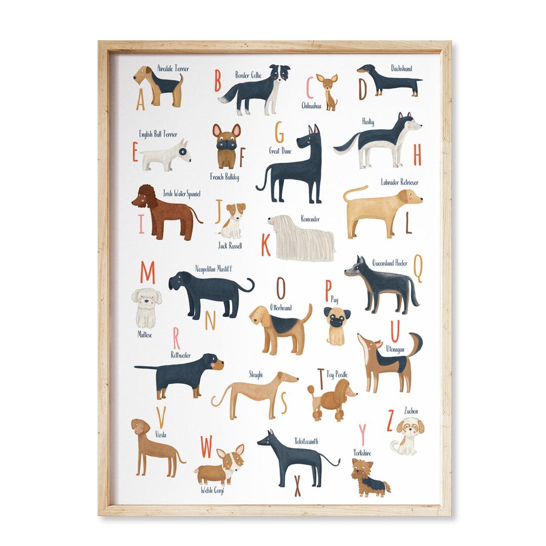 Dog Alphabet Poster, Dachshund ,border Collie, Dog Alphabet Print for ...
