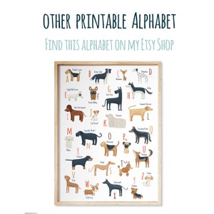 Cats Alphabet Printable for a Cat Lover, Kittens Alphabet Poster, ABC ...