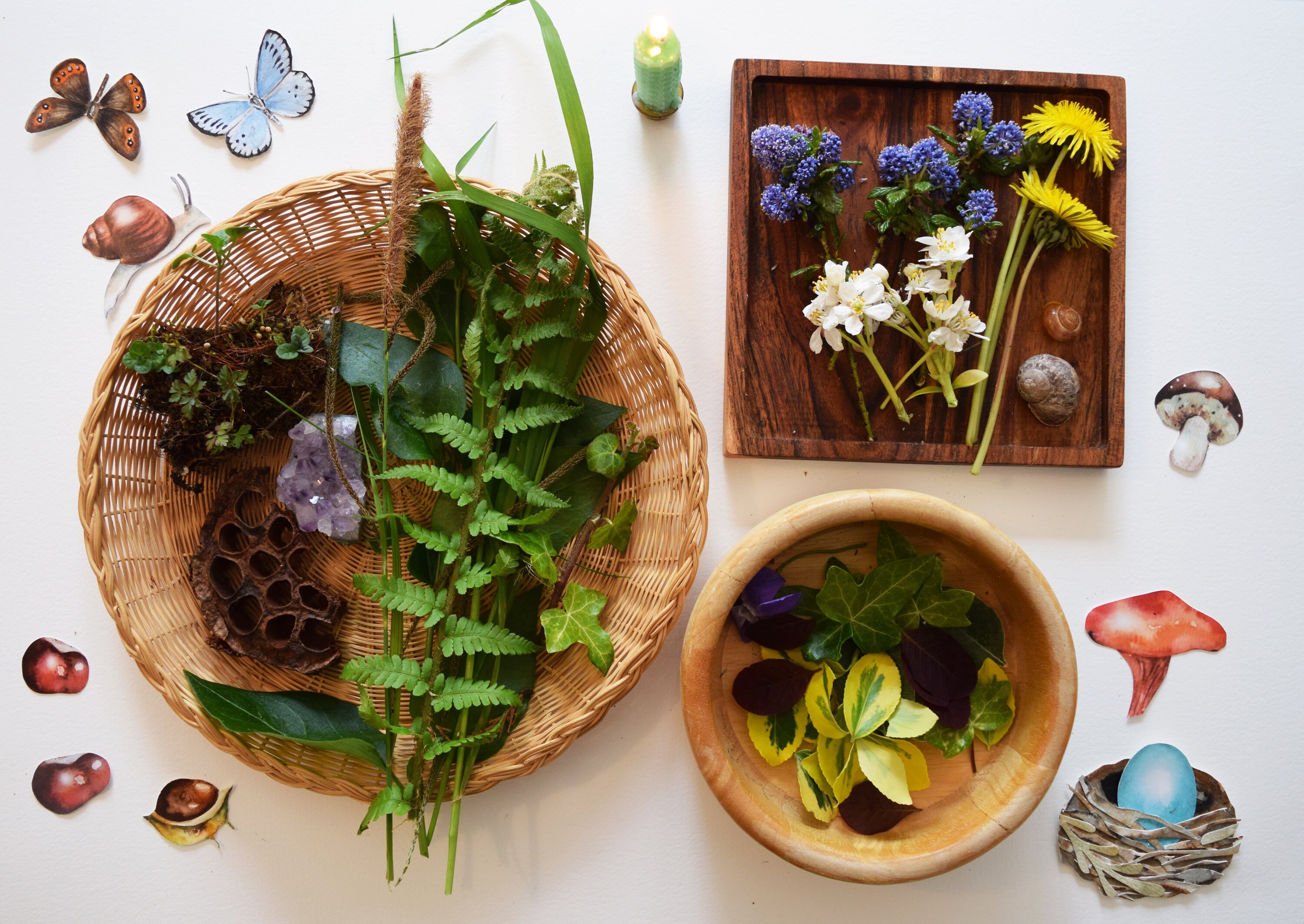 Big Forest Dragon Play Set / Poster Download - Etsy