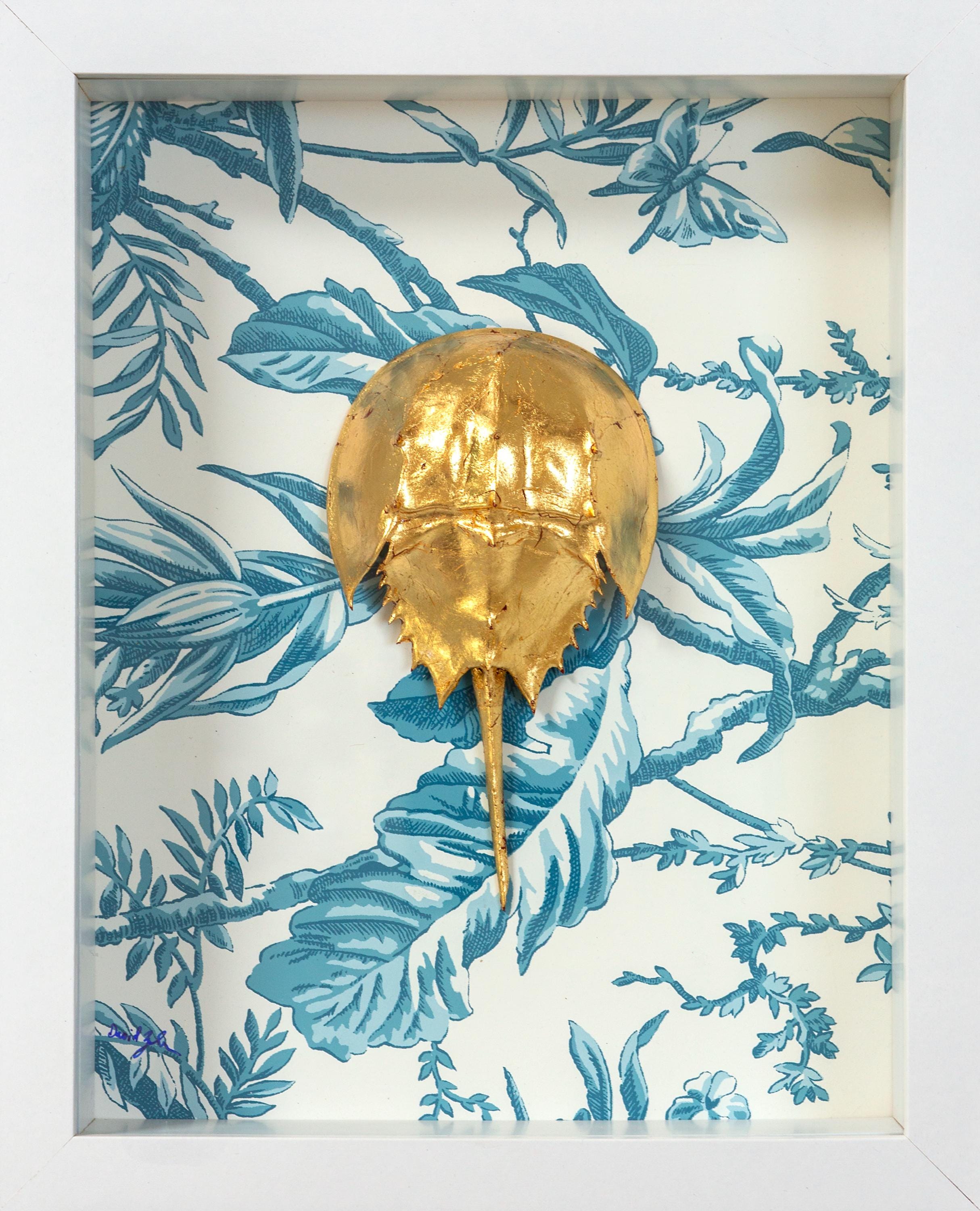 Taxidermy Shadow Box With Gold Leaf Horseshoe Crab - Etsy