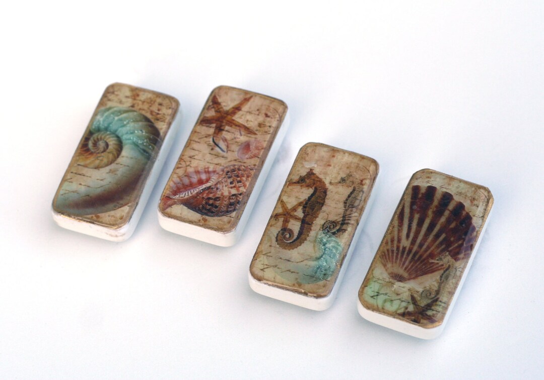Sea Shell Magnets, Beach Theme Domino Magnet Set, Seahorse, Starfish ...