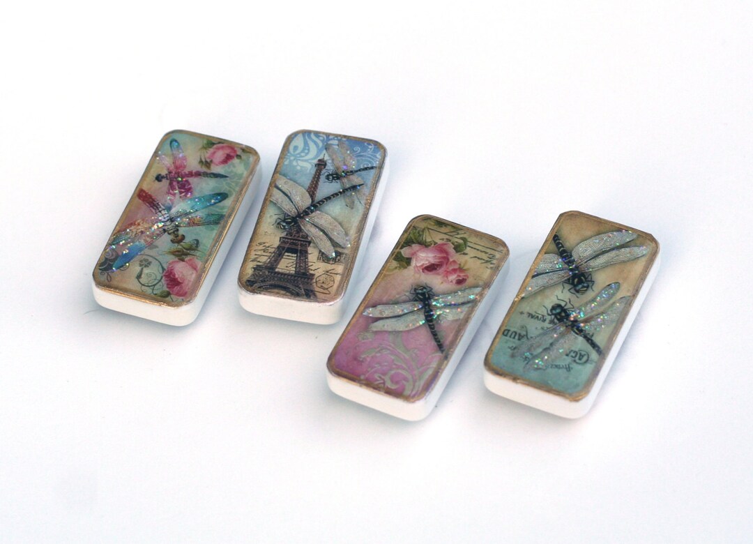 Dragonfly Magnets, Paris, Vintage Nature Domino Magnet Set, Eiffel ...