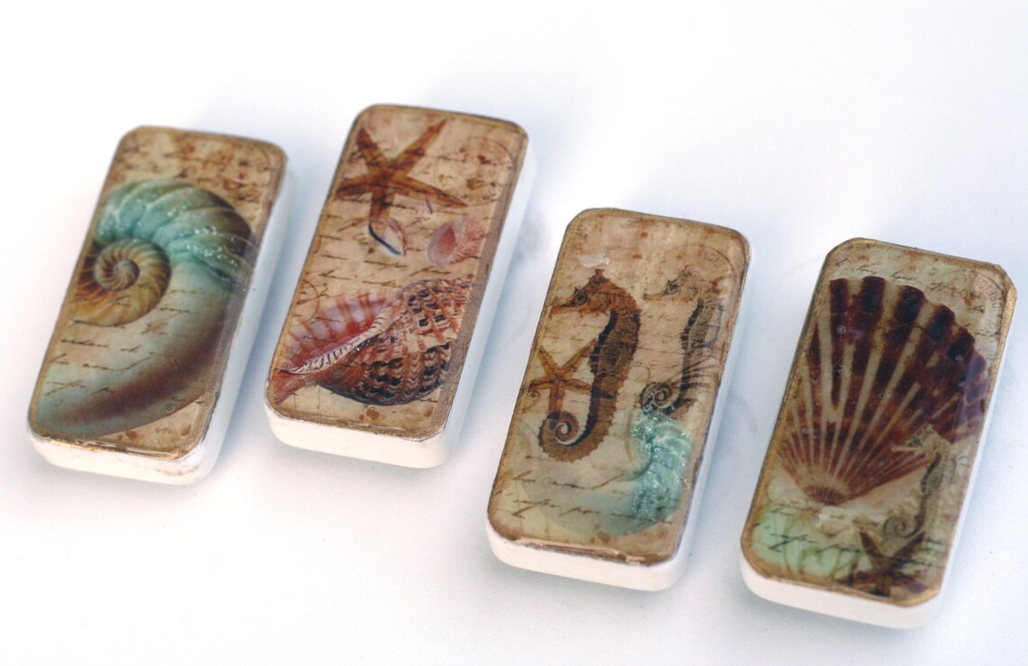 Sea Shell Magnets, Beach Theme Domino Magnet Set, Seahorse, Starfish ...