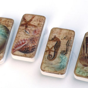 Sea Shell Magnets, Beach Theme Domino Magnet Set, Seahorse, Starfish ...