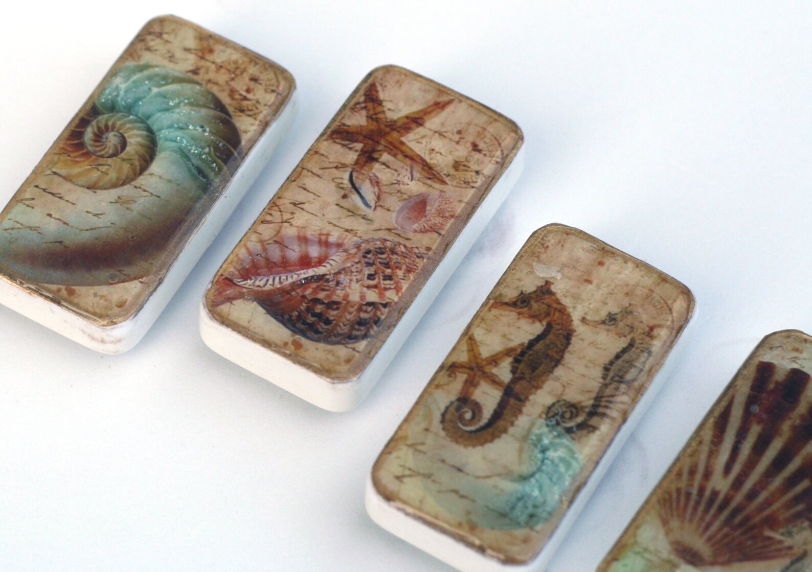 Sea Shell Magnets, Beach Theme Domino Magnet Set, Seahorse, Starfish ...