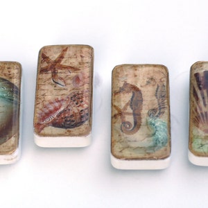 Sea Shell Magnets, Beach Theme Domino Magnet Set, Seahorse, Starfish ...