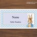 Printable Peter Rabbit Place Cards, Gray and Blue Editable Name Cards ...