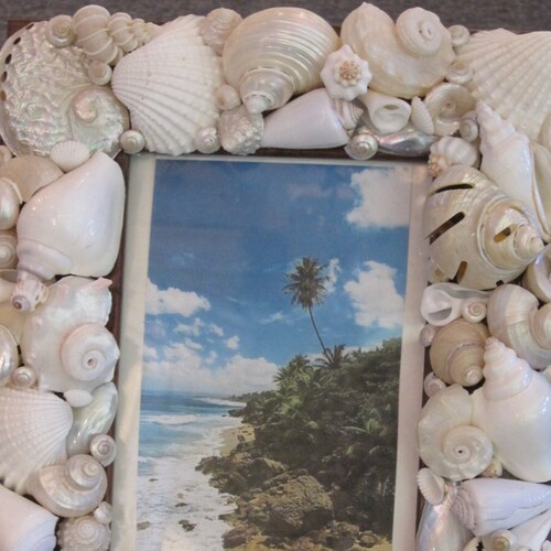 Beach Decor White Seashell Picture Frame Shell Frame White - Etsy