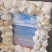 Beach Decor Seashell Picture Frame Shell Frame White Shells and Coral ...