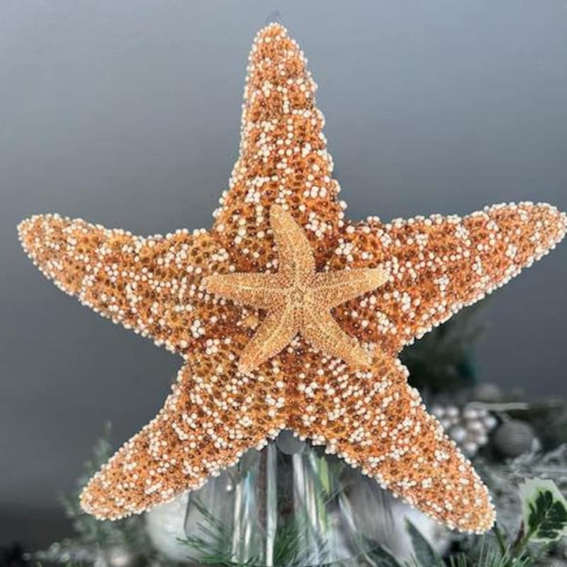 Starfish Tree Topper - Etsy