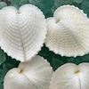 Imperfect Bulk Abalone Shells Bulk Abalone Shells Seashell Supply Beach ...