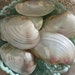 Beach Decor White Pearlized Clam Shell Halves (3 Pcs) - Polished Clam ...