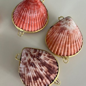 Shell Box - Natural Seashell Ring Box - Colorful Pectin Shell Pill Box ...