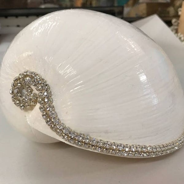 Shell Embellished - Etsy