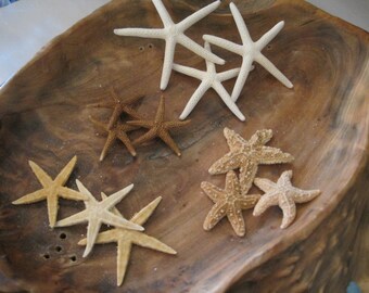 Mini starfish | Etsy