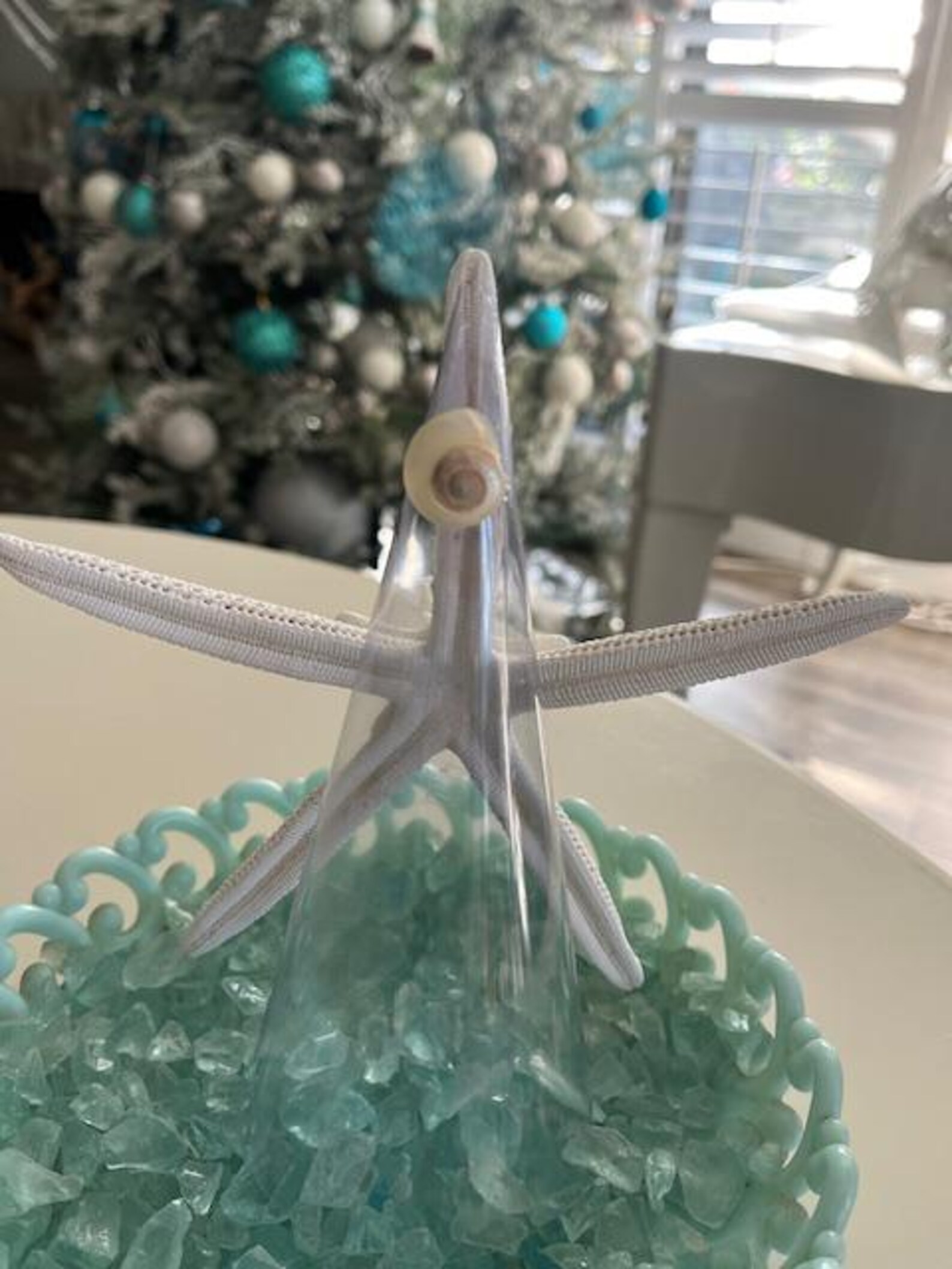 Real Starfish & Coral Tree Topper - Double Starfish Christmas Tree ...