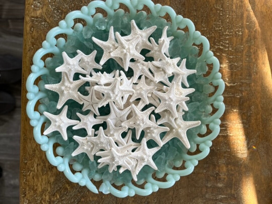 Mini Knobby Starfish 1-2" (10 PC) - Tiny White Knobby Starfish - Beach ...