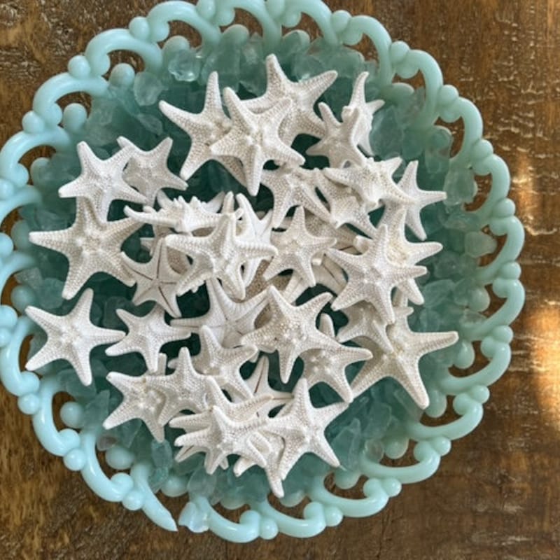 Starfish Decor - Etsy