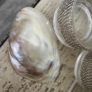 Beach Decor White Pearlized Clam Shell Halves (3 Pcs) - Polished Clam ...
