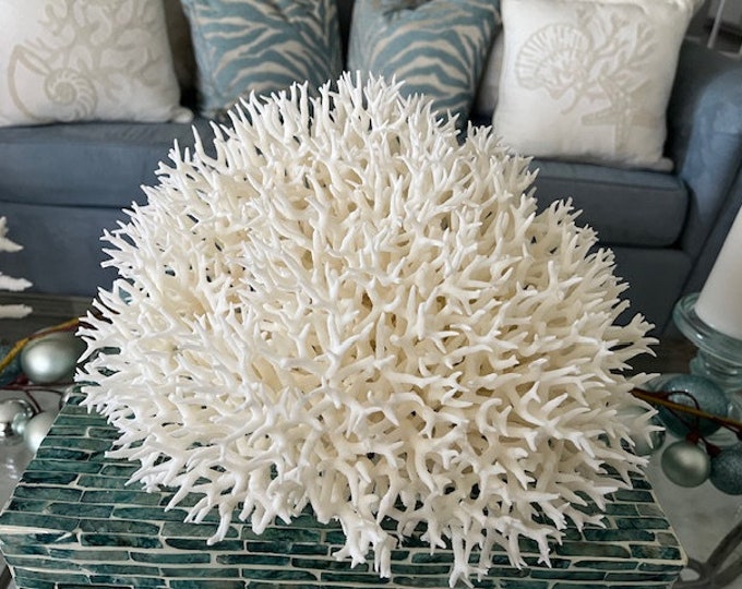 Beach Decor XL Birdsnest Coral - Coral - Seashells - Beach Decor ...