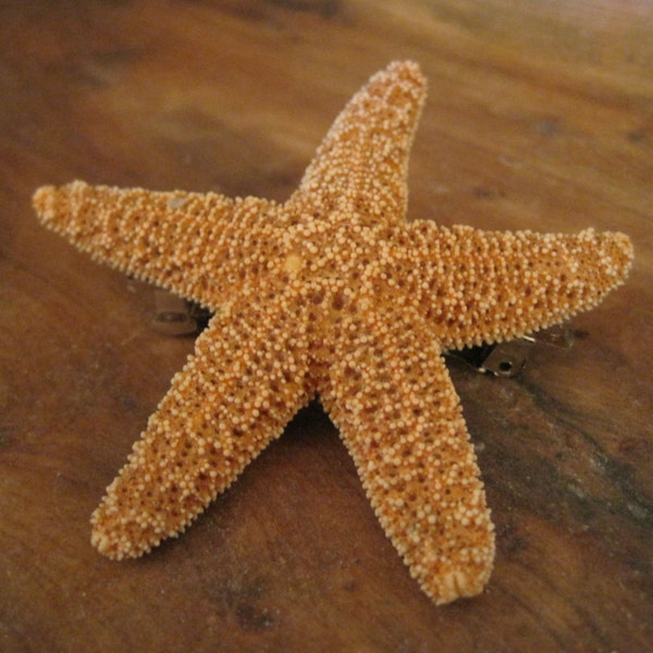 Starfish Hair Clip - Etsy