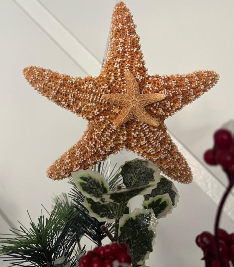 Beach Decor Starfish Tree Topper - Real Sugar Starfish Christmas Tree ...