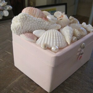 Beach Decor Seashell Jewelry Box - Jewelry Box - Handmade Shell Jewelry ...