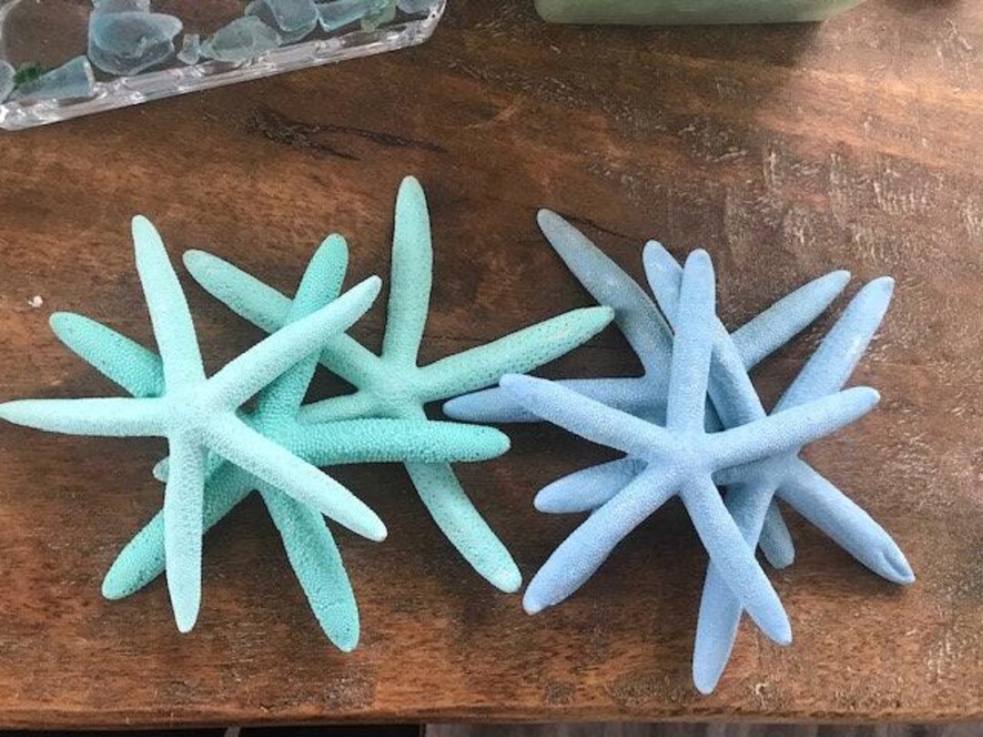 Beach Decor Blue and Green Colored Starfish (2) - Dyed Starfish ...